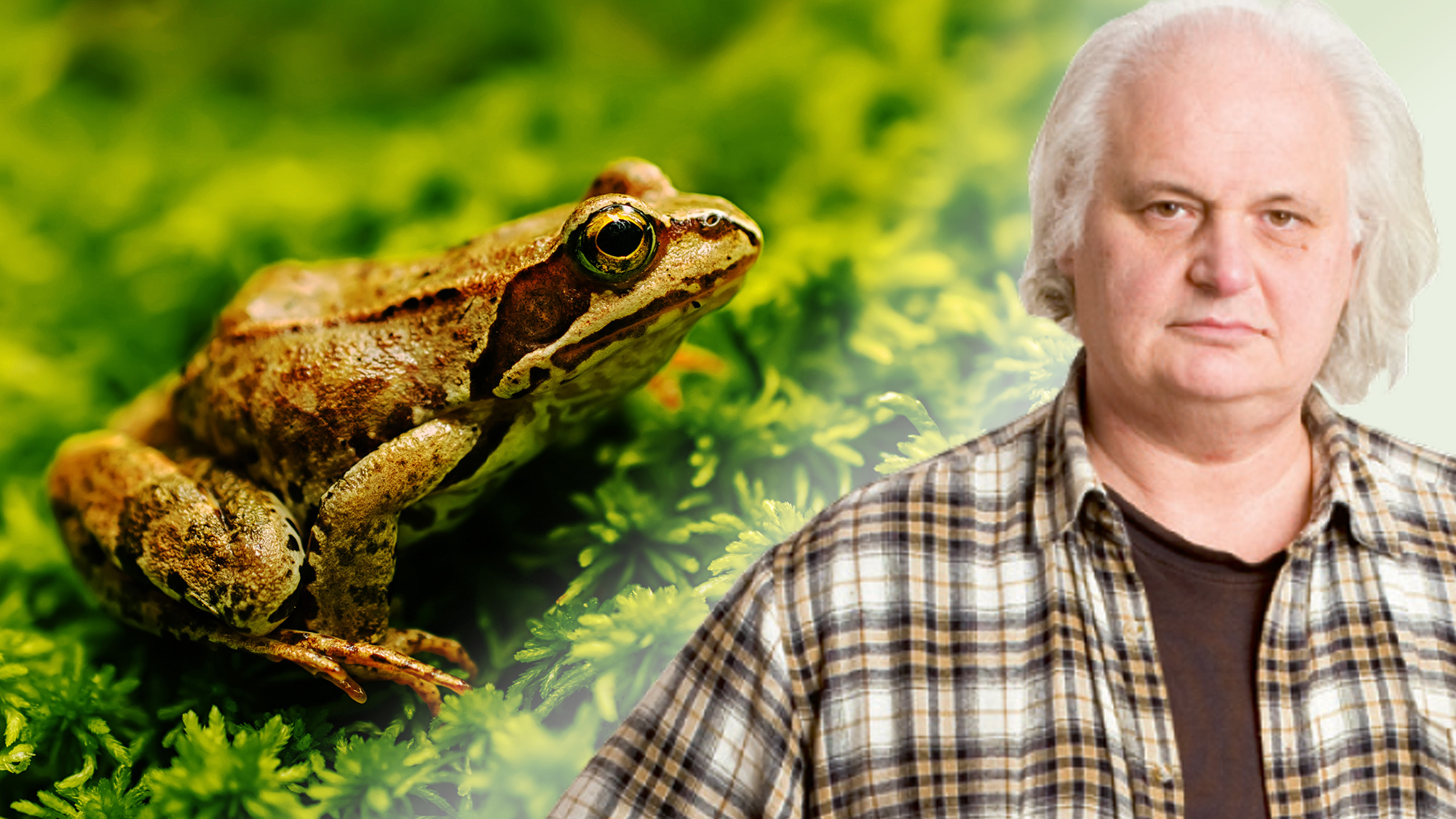 Räddningen börjar när du säger hej till en groda | Dagens ETC